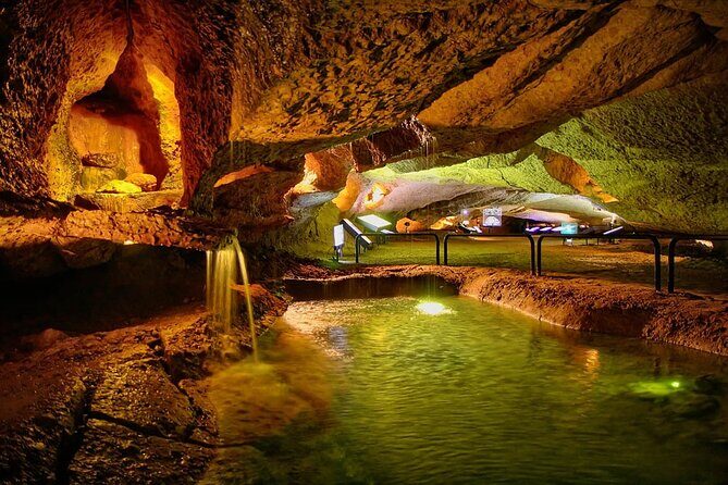 Caves prehistory of Esplugues with hotel pickup - The Journey to the Caves: Comfort and Convenience