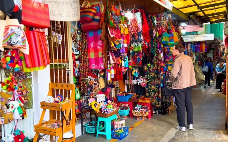 CDMX: Exotic Food and Market Tour - Mercado La Ciudadela: A Crafts and Arts Haven