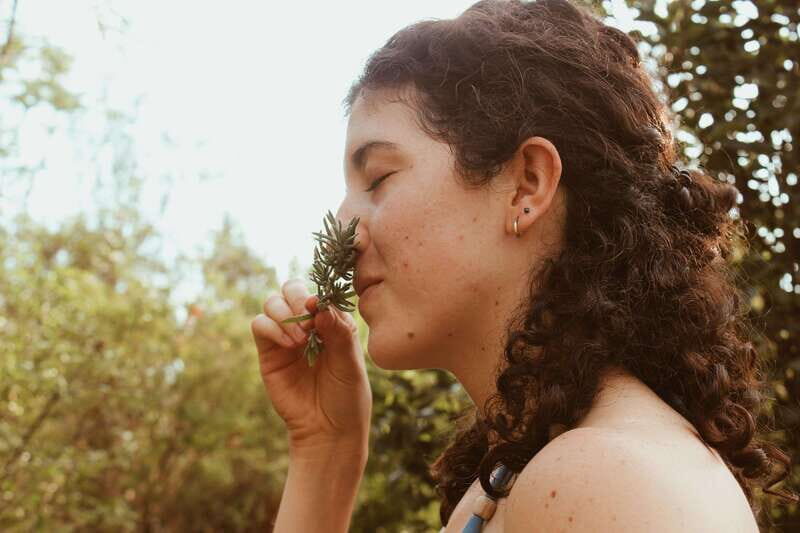 CDMX: TEMAZCAL Healing & cleansing ceremony ritual zapoteco - Key Points