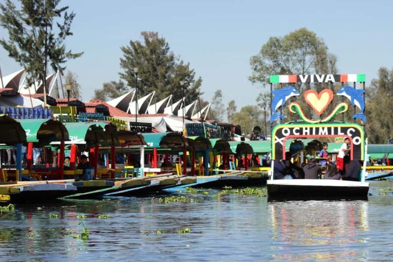 CDMX: Trajinera party in Xochimilco with tacos, music, and drinks - Practical Details