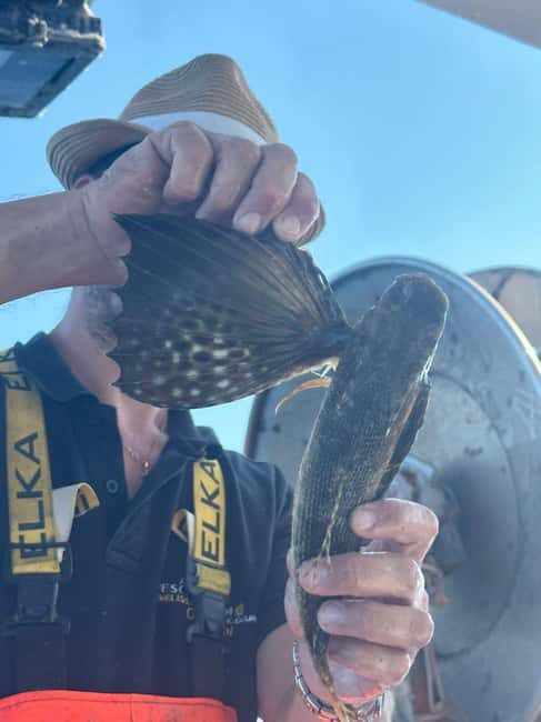 Cefalù: boat trip with fishing, coastal tour, snorkeling, and lunch on board - What the Reviews Reveal