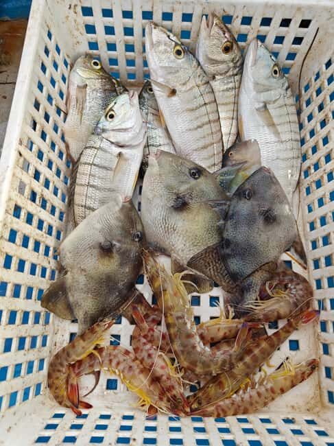 Cefalù: boat trip with fishing, coastal tour, snorkeling, and lunch on board - Who This Tour Is Perfect For