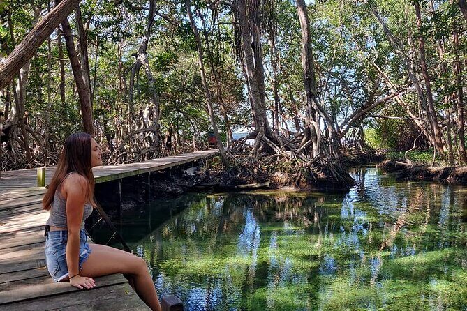 Celestun Beach and Mangrove Boat Ride from Merida - Key Points