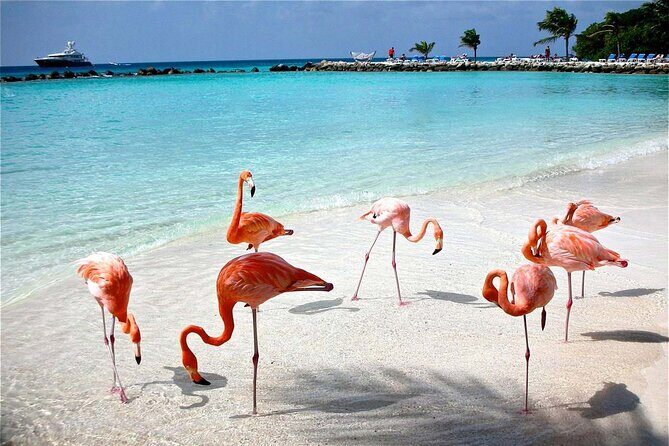 Celestun Beach and Mangrove Boat Ride from Merida - FAQs