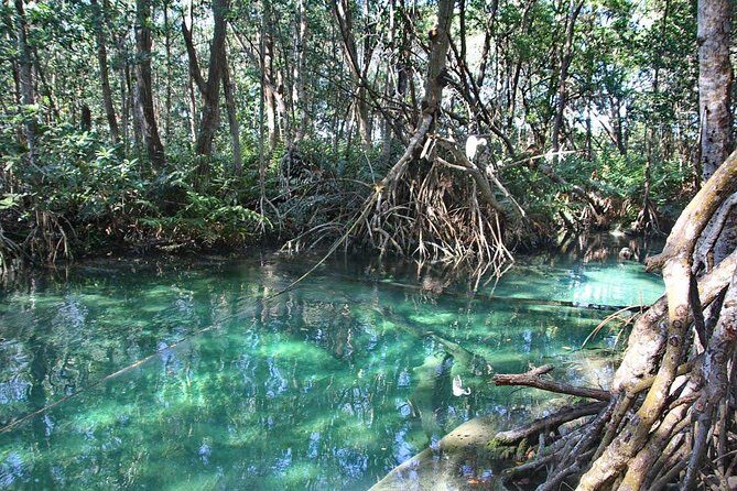 Celestun Biosphere Reserve Tour from Merida - Who Should Consider This Tour?