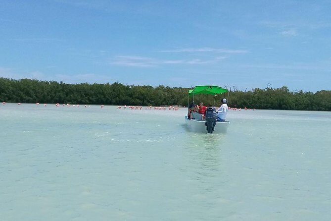 Celestun Biosphere Reserve Tour from Merida - Wrapping Up: Who Is This Tour For?
