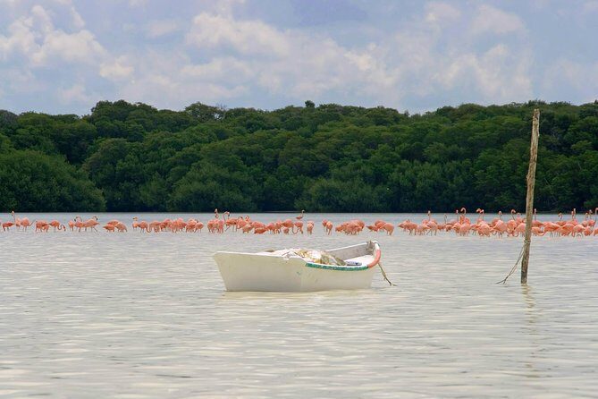 Celestun Biosphere Reserve Tour from Merida - Final Thoughts