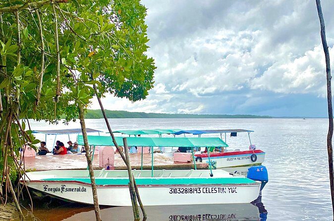 Celestun Flamingos Beach & Seafood Tour departure from Merida - Small Group Dynamics and Overall Pacing