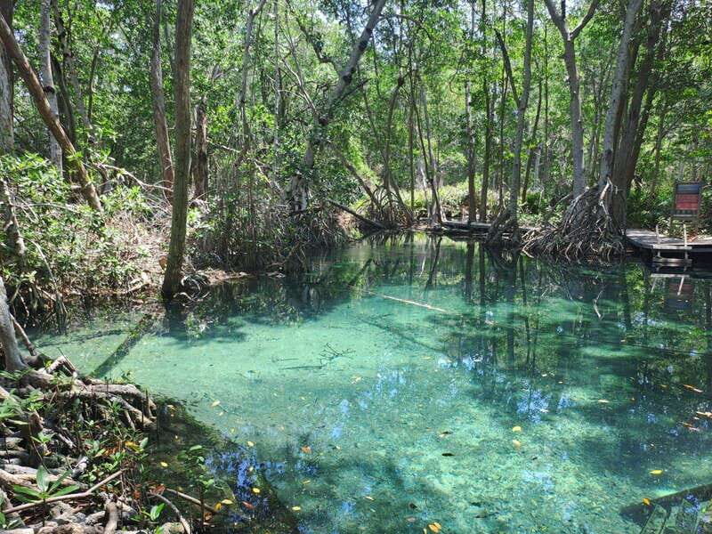 Celestun + Lunch, Boat Ride & beach time. - Key Points