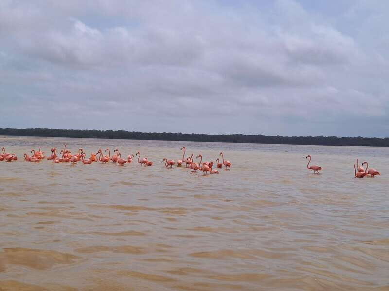 Celestun + Lunch, Boat Ride & beach time. - The Authenticity & Practicalities