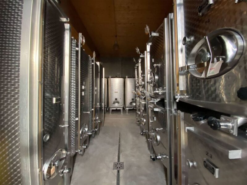 Cellar visit and Alsace wine tasting with a feminine touch - Who Will Love This Experience?