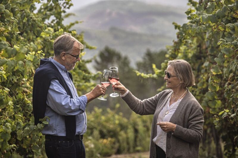 Celorico De Basto: Quinta de Santa Cristina Winery Tour - A Deep Dive Into the Quinta de Santa Cristina Experience