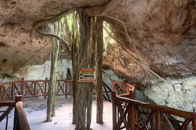 Cenote Adventure Tour - Exploring the Itinerary: What to Expect from the Cenote Adventure Tour