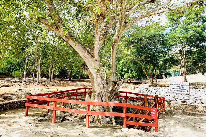 Cenote Adventure Tour - FAQs