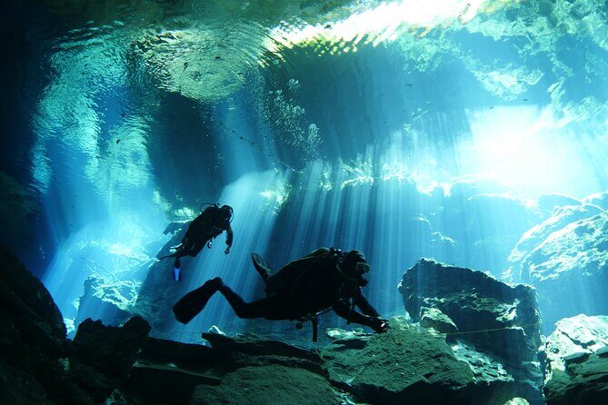 Cenote Diving - 2 Tank Dive Trip for Certified Divers - Practical Tips for Booking and Enjoying