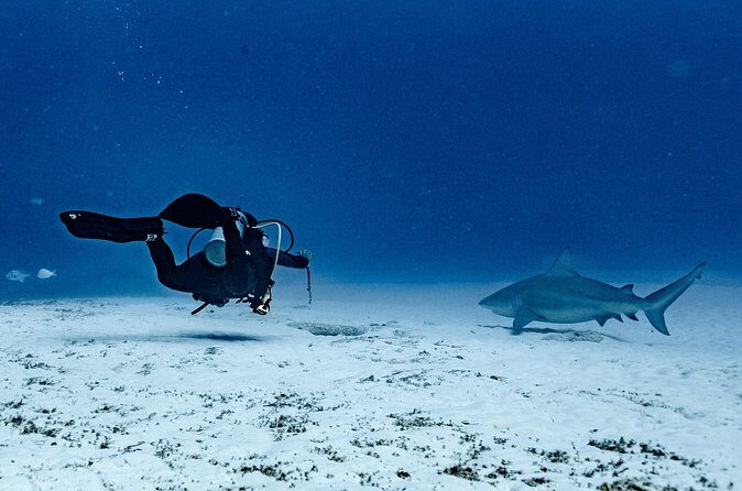 Cenote Diving in Tulum A Thrilling Adventure for Certificates - FAQ