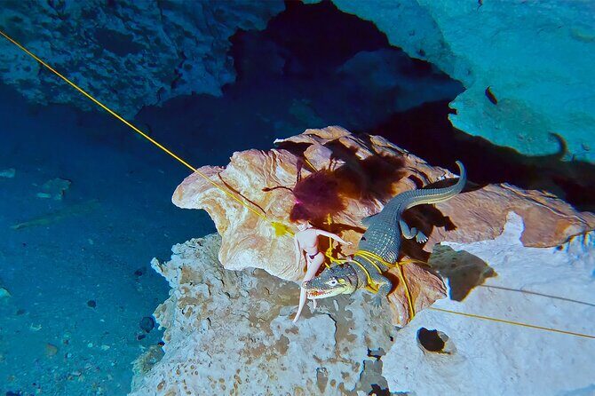 Cenote Dos Ojos Guided Scuba Diving - The Itinerary Breakdown