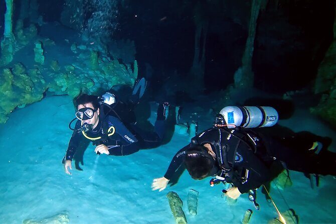 Cenote Dos Ojos Guided Scuba Diving - Authentic Insights from Reviews