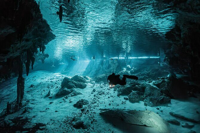 Cenote El Pit and Dos Ojos Dive Trip - An In-Depth Look at the Cenote El Pit and Dos Ojos Tour  