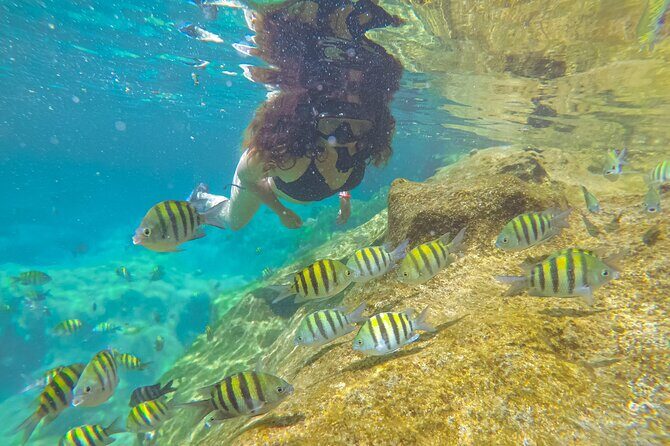 Cenote; Snorkeling and Photos with Colorful Fish - Key Points