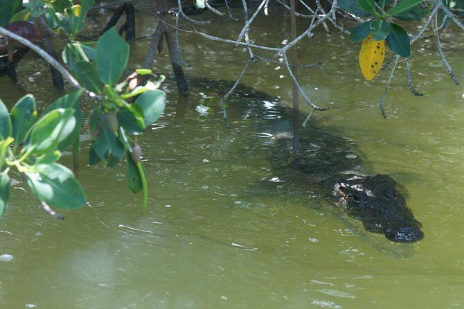 Cenote Suytun & Rio Lagartos & Las Coloradas - Final Thoughts: Is This Tour for You?