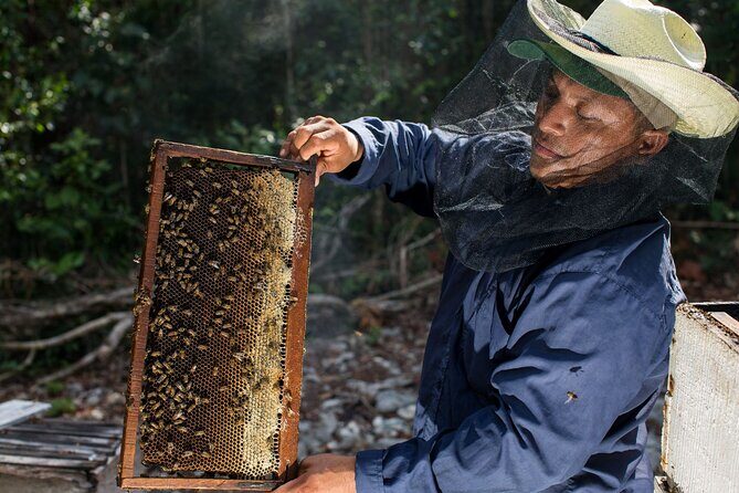 Cenote Tankah and Mayan Village Tour with Zipline, Canoes & Lunch - Authentic Experiences & Genuine Feedback