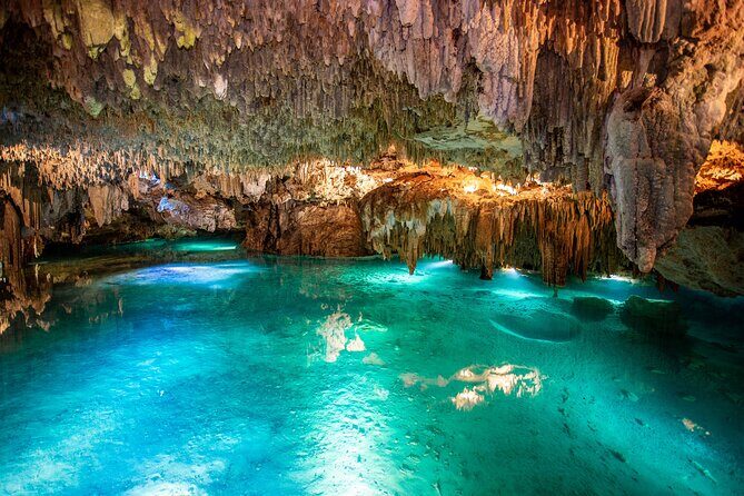 Cenote Turtle and Beach Club Full Day Tour - The Itinerary in Detail: What to Expect