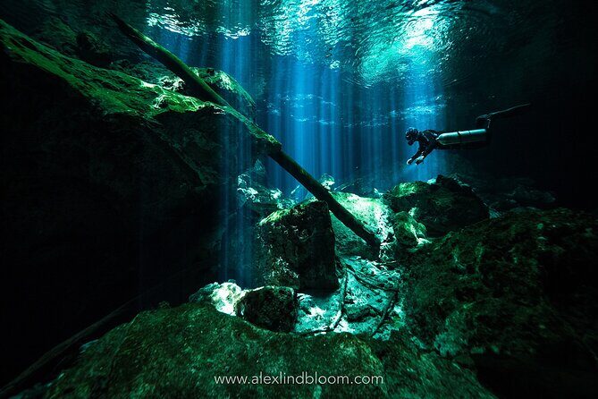 Cenotes 2-Day Scuba Diving Package in the Riviera Maya - The Complete Breakdown of the 2-Day Scuba Tour