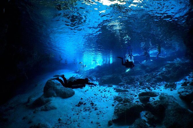 Cenotes 2-Tank Dive in Playa del Carmen/for certified divers only - Who Should Consider This Tour?