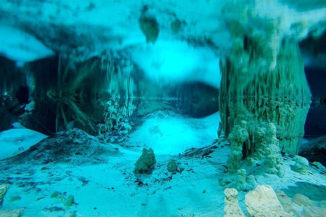 Cenotes and Paradise Lagoon - Why Choose This Tour?