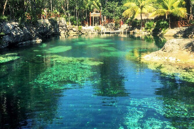 Cenotes Casa Tortuga 4 Cenotes Day Pass - Authentic Experiences and Practical Tips
