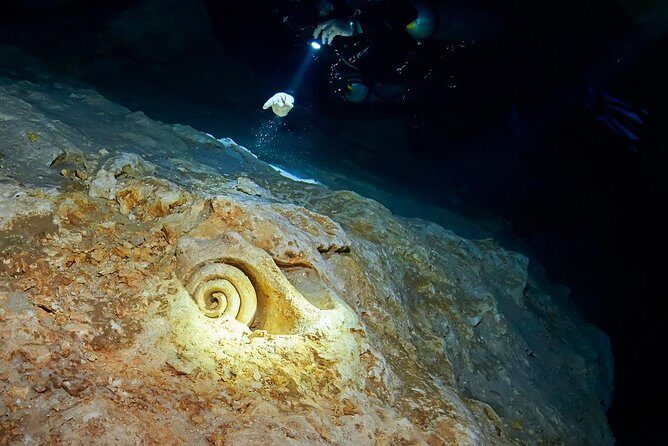 Cenotes diving - What Makes This Tour Stand Out?