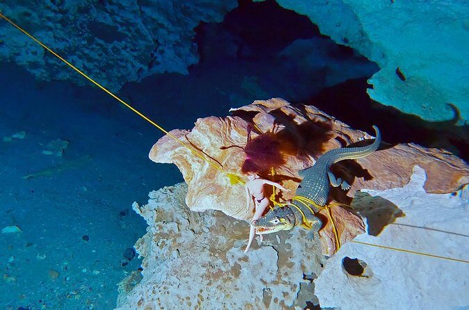 Cenotes El Pit and Dos Ojos Guided Scuba Diving - Who Will Love This Experience?