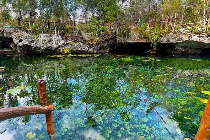 Cenotes El Pit and Nicte Ha Guided Scuba Diving - An In-Depth Look at the Cenotes El Pit and Nicte Ha Guided Diving Tour