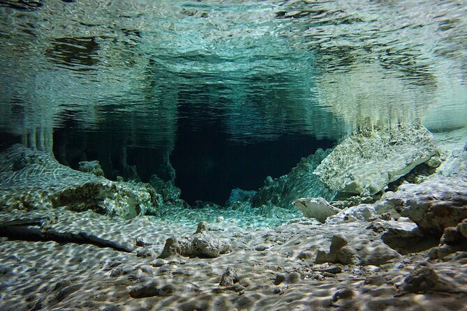 Cenotes Private Tour VIP - Who Should Book This Tour?