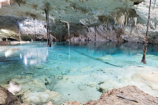 Cenotes Taak Bi Ha & Nicte Ha  VIP Snorkeling Private Tour - Discovering Tulums Cenotes: An In-Depth Review