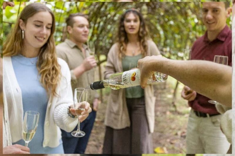 Central Coast NSW: The Winemakers Secret Garden Tour - Why the Winemakers Secret Garden Tour Offers Real Value