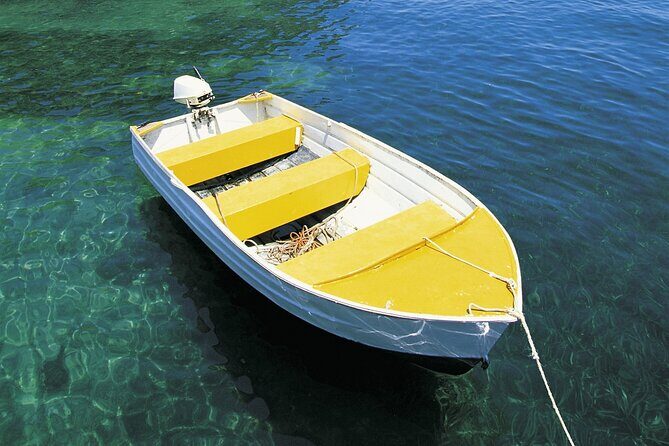 Central Coast Private Day Tour | Beaches, Bays and Wildlife & Reptile Park Entry - FAQs