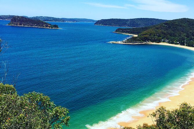 Central Coast Private Tour From Sydney, with Australian Reptile Park Option - The Experience: What You Can Expect From Start to Finish