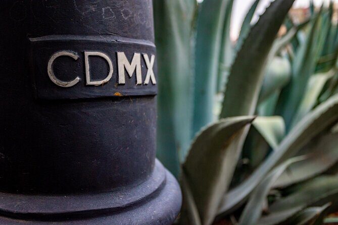 Central Mexico City Private Walking Tour - FAQs