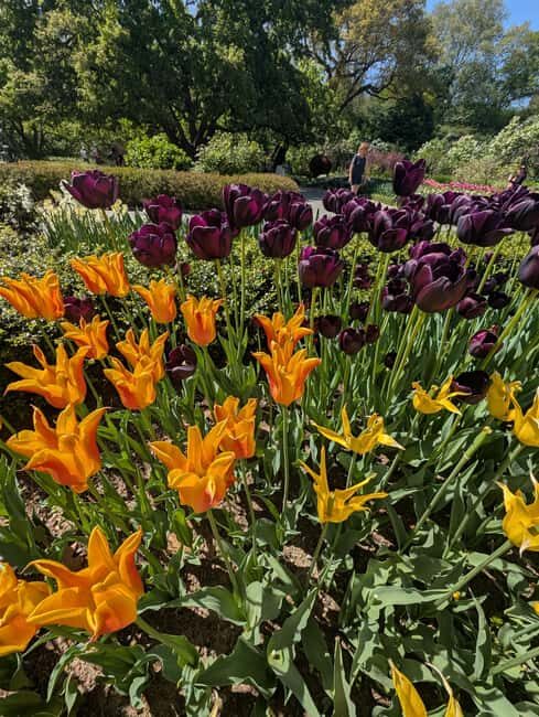 Central Park 5 Star Walking Tour led by Manhattan residents! - Authentic Experiences and Honest Insights from Reviewers