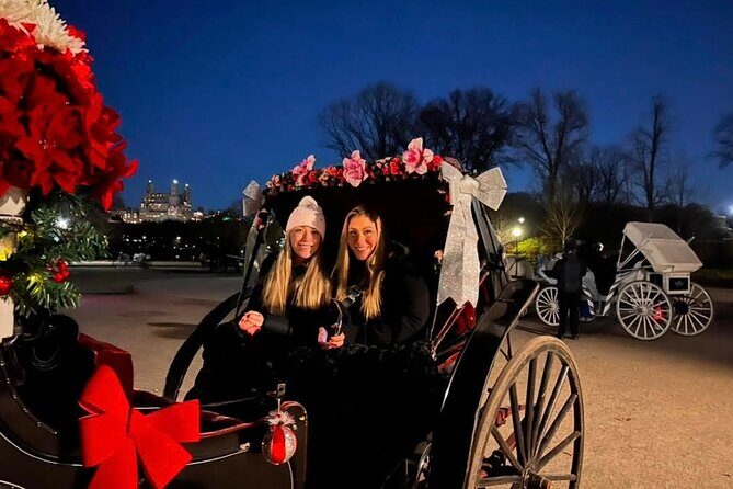 Central Park Moonlight Tour with Photo (45 min) ~ Skip the line - Experience the Enchantment of Central Park at Night: A Detailed Review of the Moonlight Horse Carriage Tour