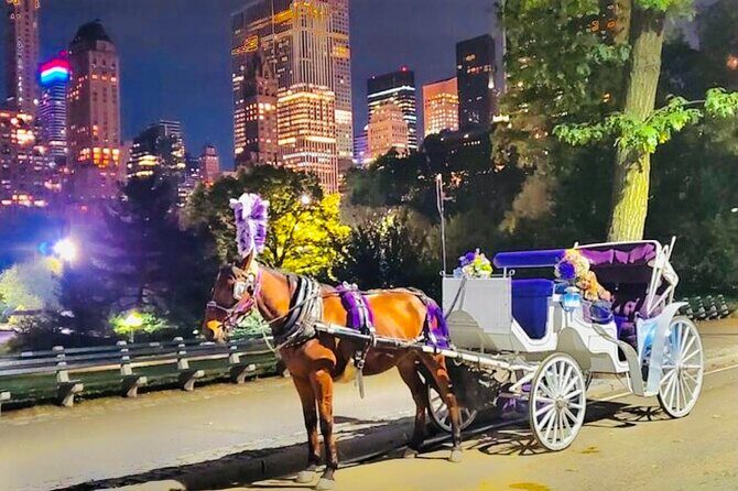 Central Park Moonlight Tour with Photo (45 min) ~ Skip the line - Pricing and Value Assessment