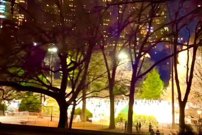 Central Park Moonlight Tour with Photo (45 min) ~ Skip the line - Authentic Experiences from Reviewers