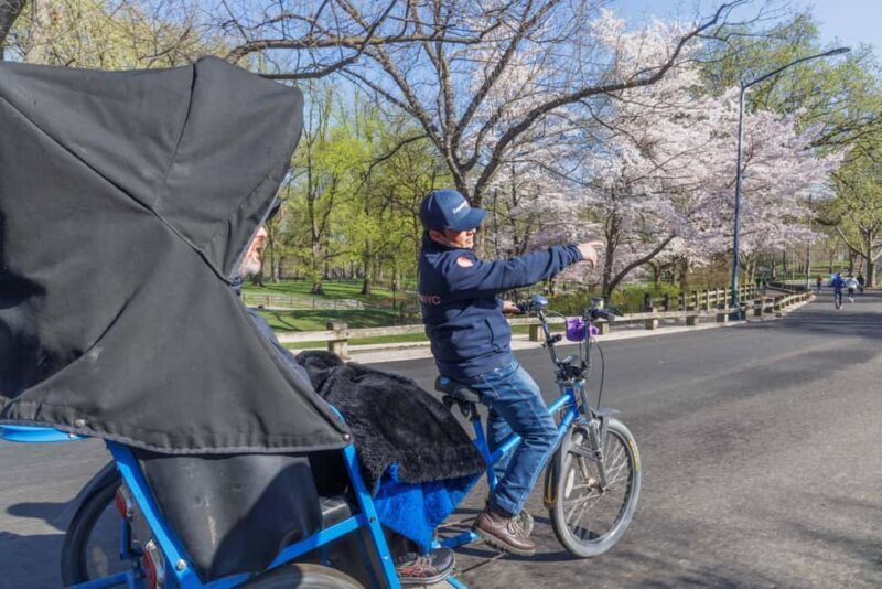 Central Park Pedicab Tour + Optional Natural History Access - What to Expect from the Central Park Pedicab Tour