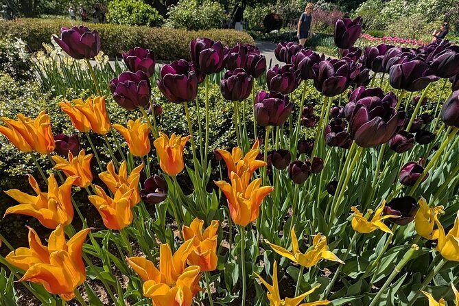 Central Park Sightseeing Guided Hike - Final Thoughts