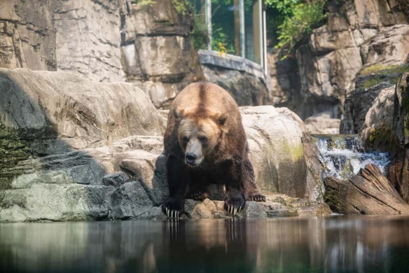 Central Park Zoo Entry Ticket - Key Points