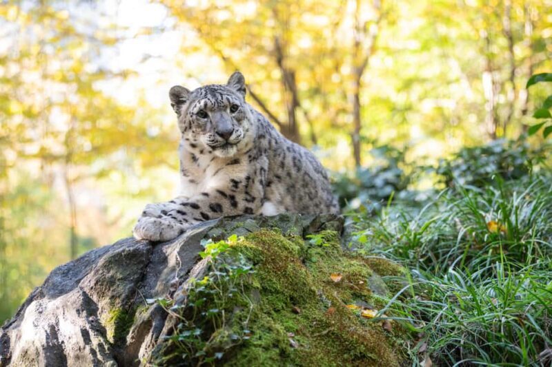 Central Park Zoo Entry Ticket - Authentic Visitor Insights