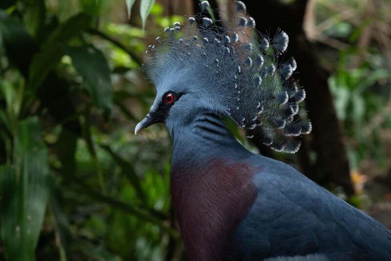 Central Park Zoo Entry Ticket - Practical Tips for Visiting