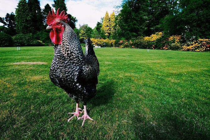 Central Scotland Driving Tour - Stirlingshire (Private) - Who Would Enjoy This Tour?